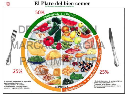 El Plato del bien comer | home