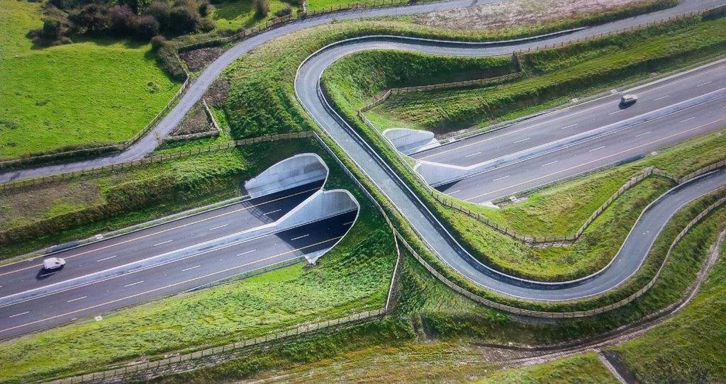 KEEPING WILDLIFE SAFE WITH GREEN OVERBRIDGE DESIGNS