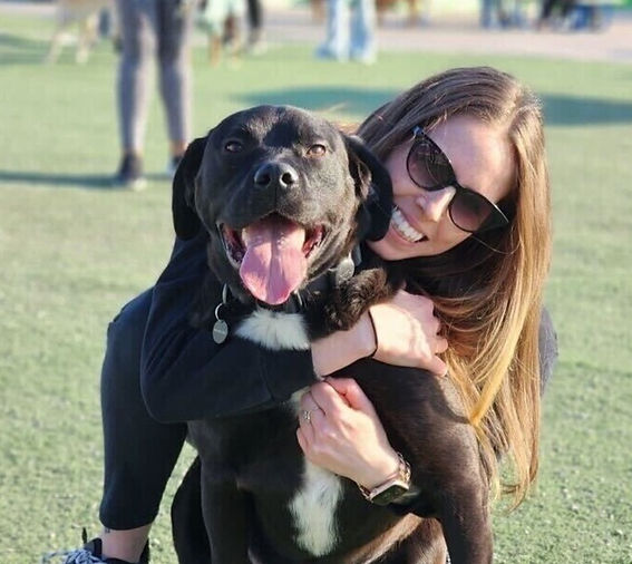 Dog Training | Good Dog Enrichment And Training | St. Louis