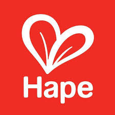 Hape | The Pumpkin Patch