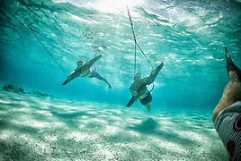 Sealingo Watersports | BVI Watersports