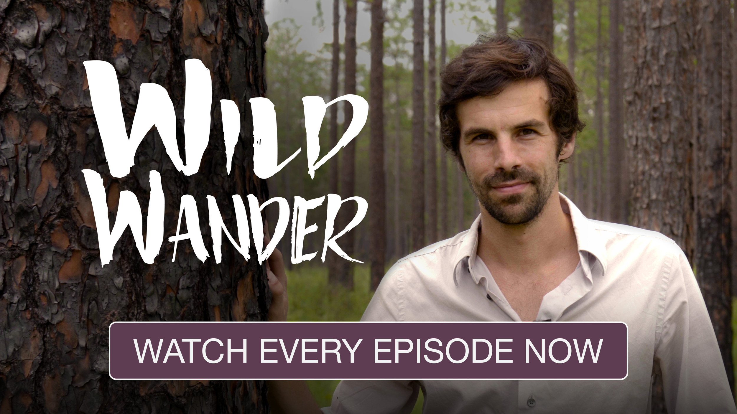 WILD WANDER | Conservation Video Series | Macroscope Pictures