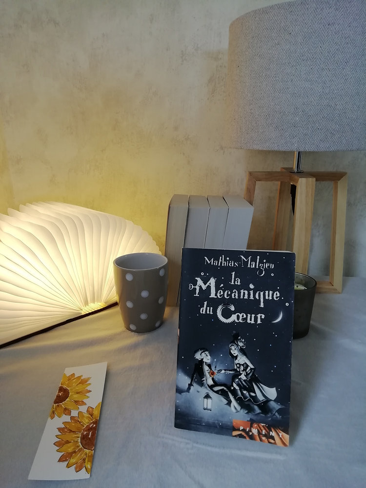 Mathias MALZIEU - La mécanique du cœur