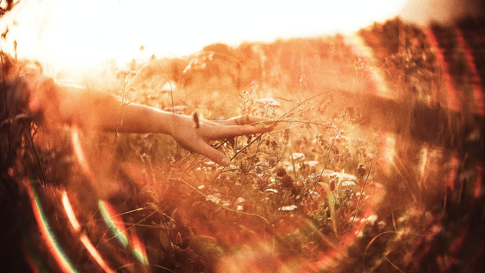 The Wonder of Dreams: Healing
