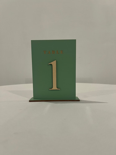 Table Numbers - Sage Green | Blue Heron Barn