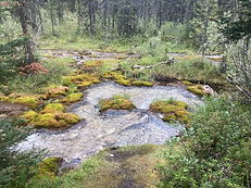 Colin Chamberlain | Philosophy Professor