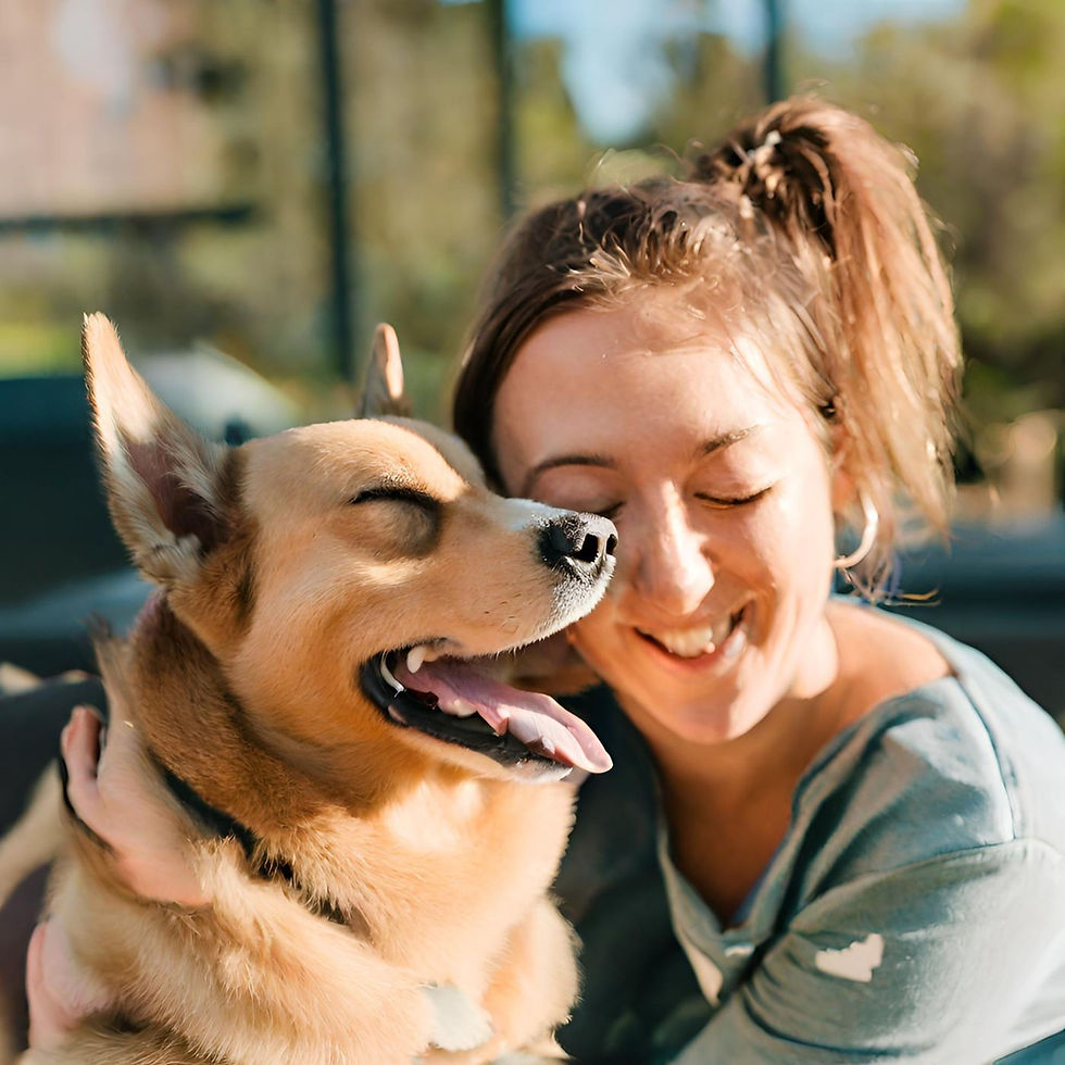Dog Affection Explained for Humans: Decoding Canine Love and Bonding