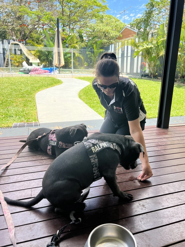 Private sessions | Dog Training & Obedience | Dog Bizness