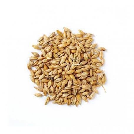 Cebada | AGROSUR PERU