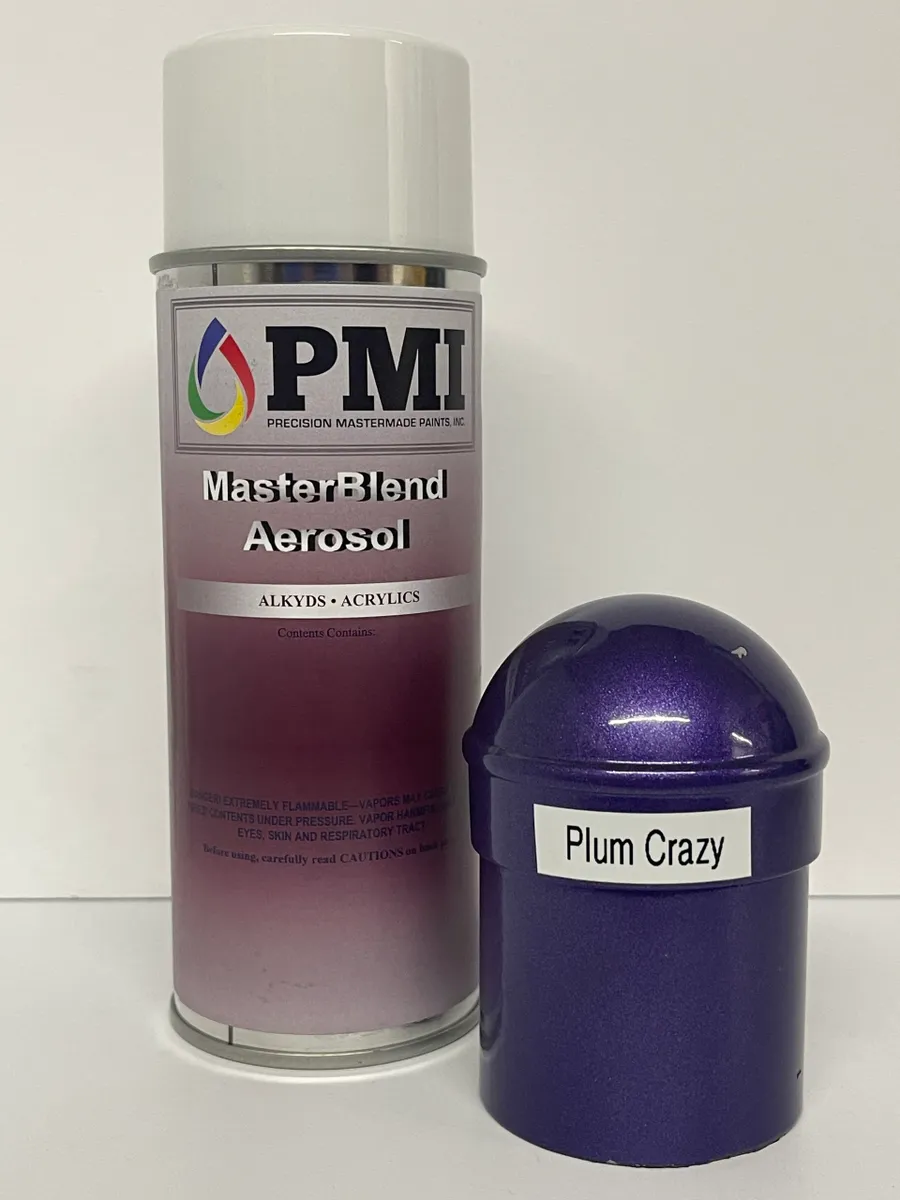 Plum Crazy Acrylic Enamel Aerosol | ClarksWholesalePaint