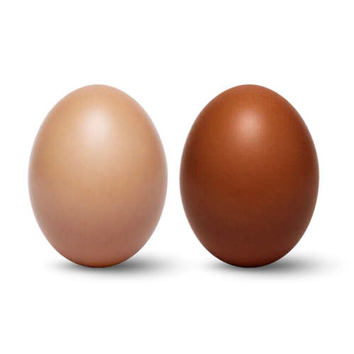 Postura Rubi (RUB) | empresa