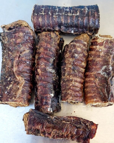 Beef Trachea Moo Chew Kangaroo Filled | Universal Pets