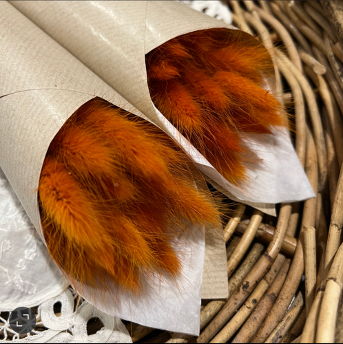 Dried Bunny Tails ~ Rust Orange | The Witchery NZ