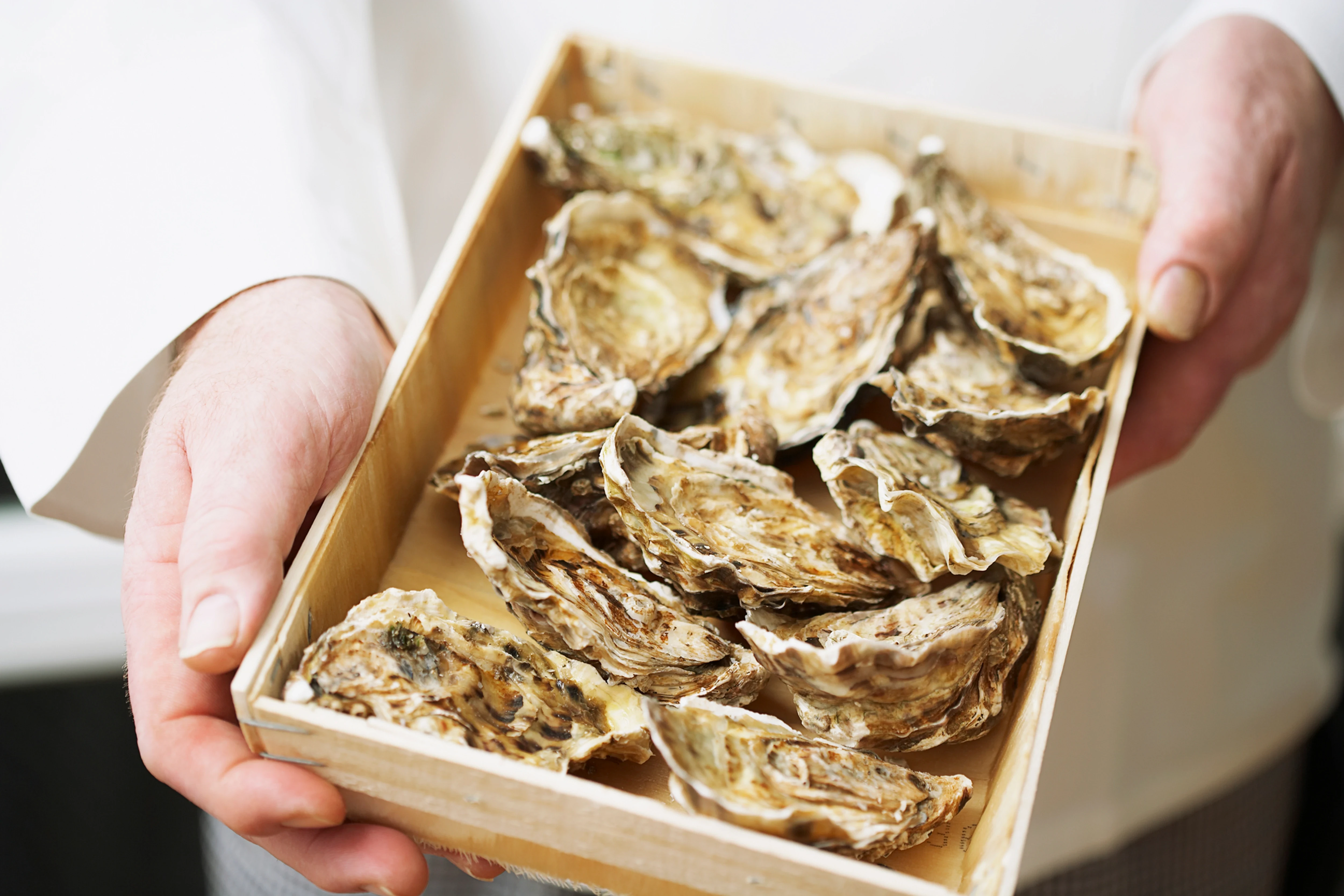 Gillardeau oesters - Een Delicatesse uit de Zee