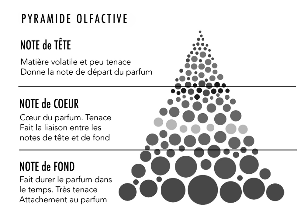 Pyramide olfactive d’une bougie parfumée