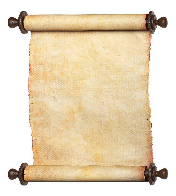 Home | Coffee Cats Lincoln