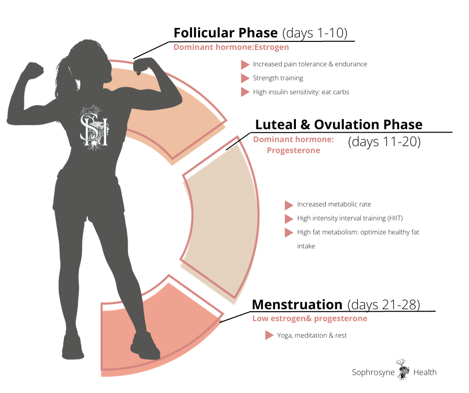 Cycle Syncing: How To Plan Your Period Workouts