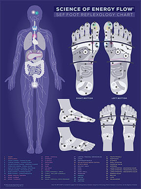 The Science of Energy Flow Wall Chart | GAHA