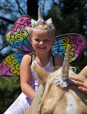 SERVICES | Christines Horseback