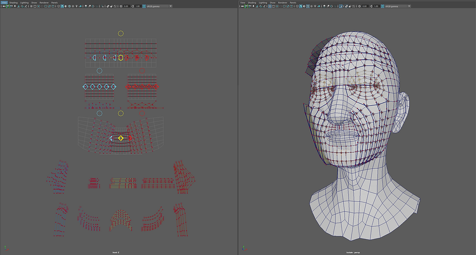 Maya Rig System Development | Raymonds Portfolio