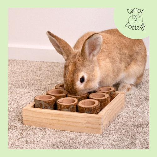 Forage Tray | Christchurch Rabbit