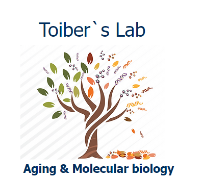 Home | Toiber-lab