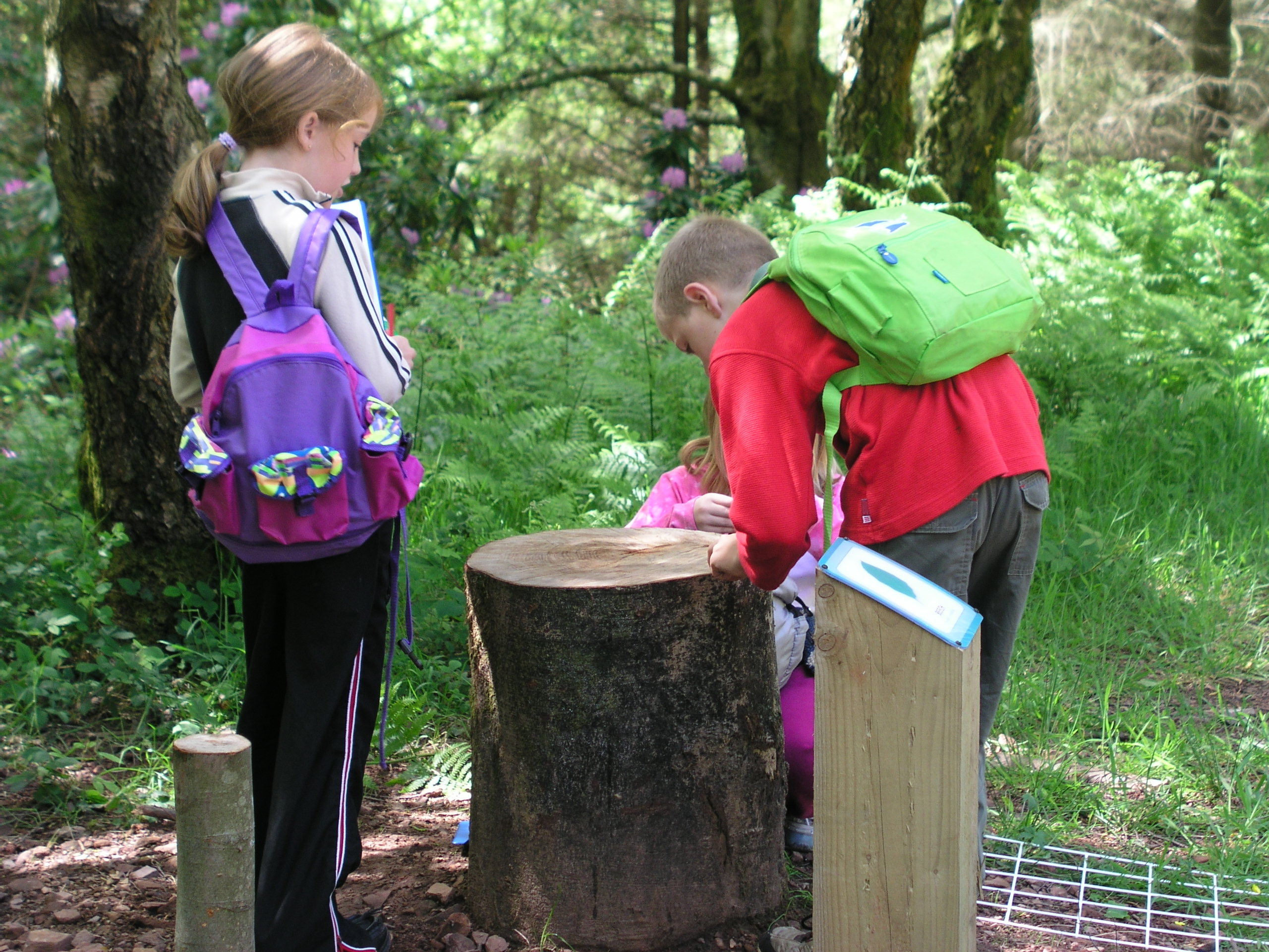 Quantock Education (QEd)