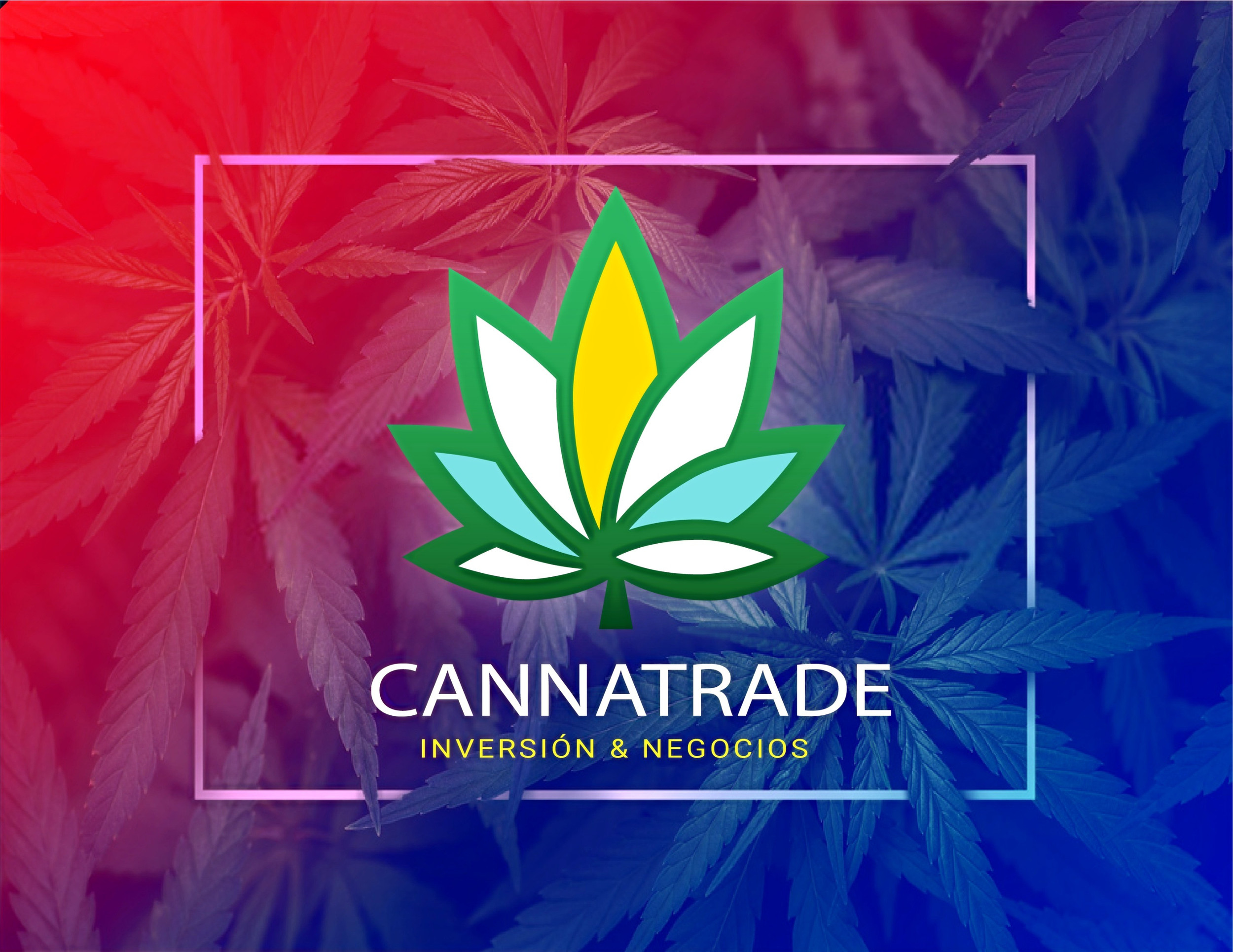 PROYECTO CANNATRADE | JMC STUDIO