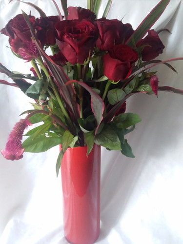6 Red Roses with 6 Tropical Red Coxcomb Arrangement | Premier Florist