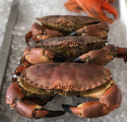 how to cook edible crab