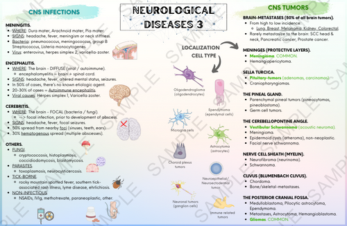 Neurological Diseases 3 (printable) | Miss Medicine