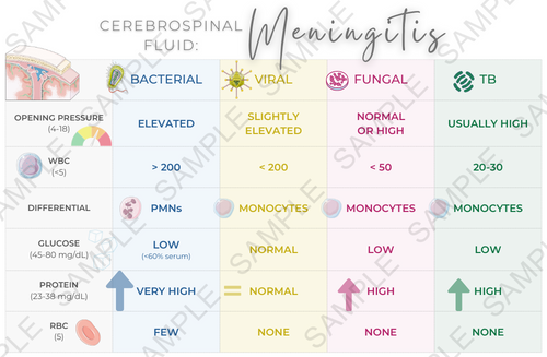 Cerebrospinal Fluid: Meningitis (printable) | Miss Medicine