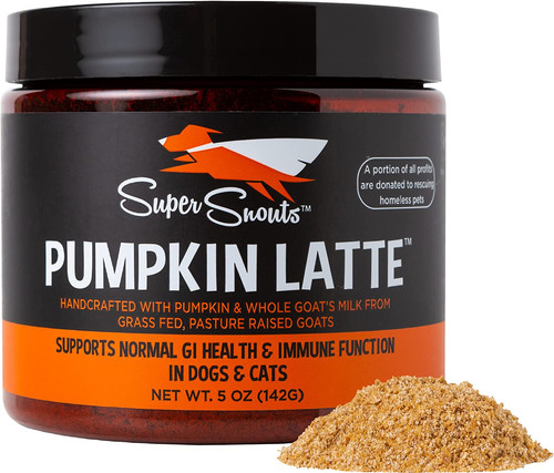 Super Snouts - Pumpkin Latte | Mojo Dog Co
