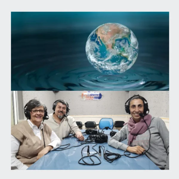 Agrupamento de Escolas Dr. Jorge Augusto Correia | Tavira, Portugal