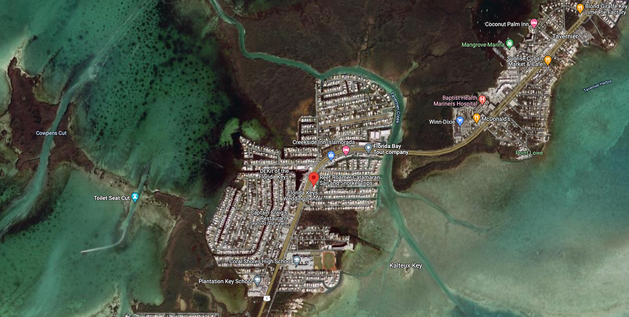 Key Largo Snorkeling Adventures | Reef Roamer - Book Your Tour Today