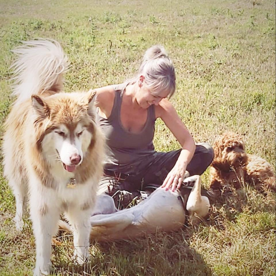 Emma Gower, Reiki Master/Teacher for People & Pets, Executive ...
