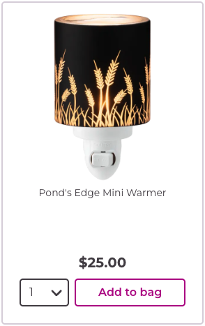 Best Scentsy Products & Scents For Men