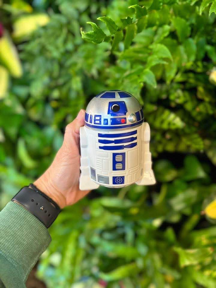 Scentsy Star Wars Collection: C-3PO & R2D2 Warmers