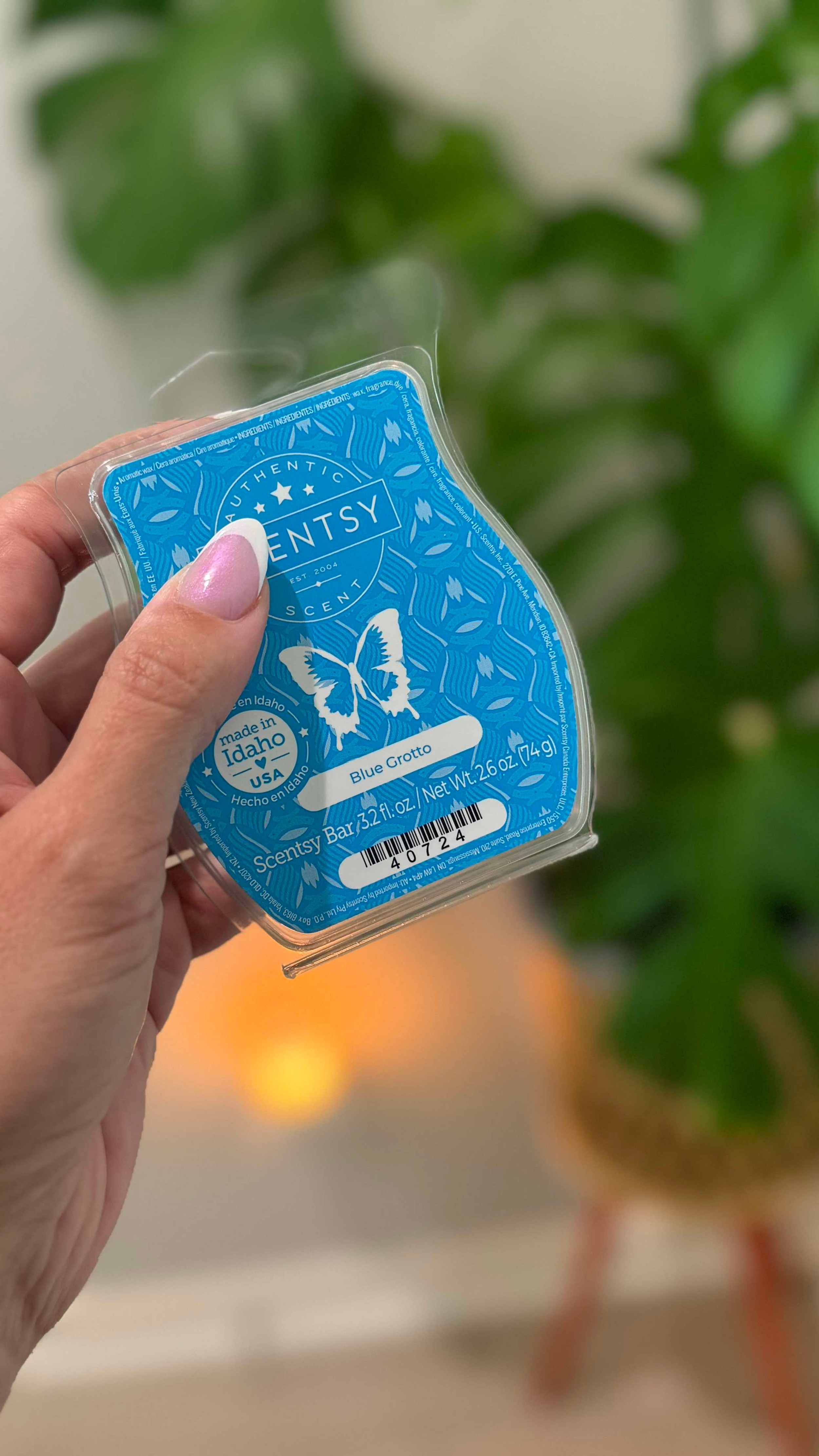 Scentsy’s Blue Grotto: The Perfect Dupe for the Capri Blue Volcano Candle