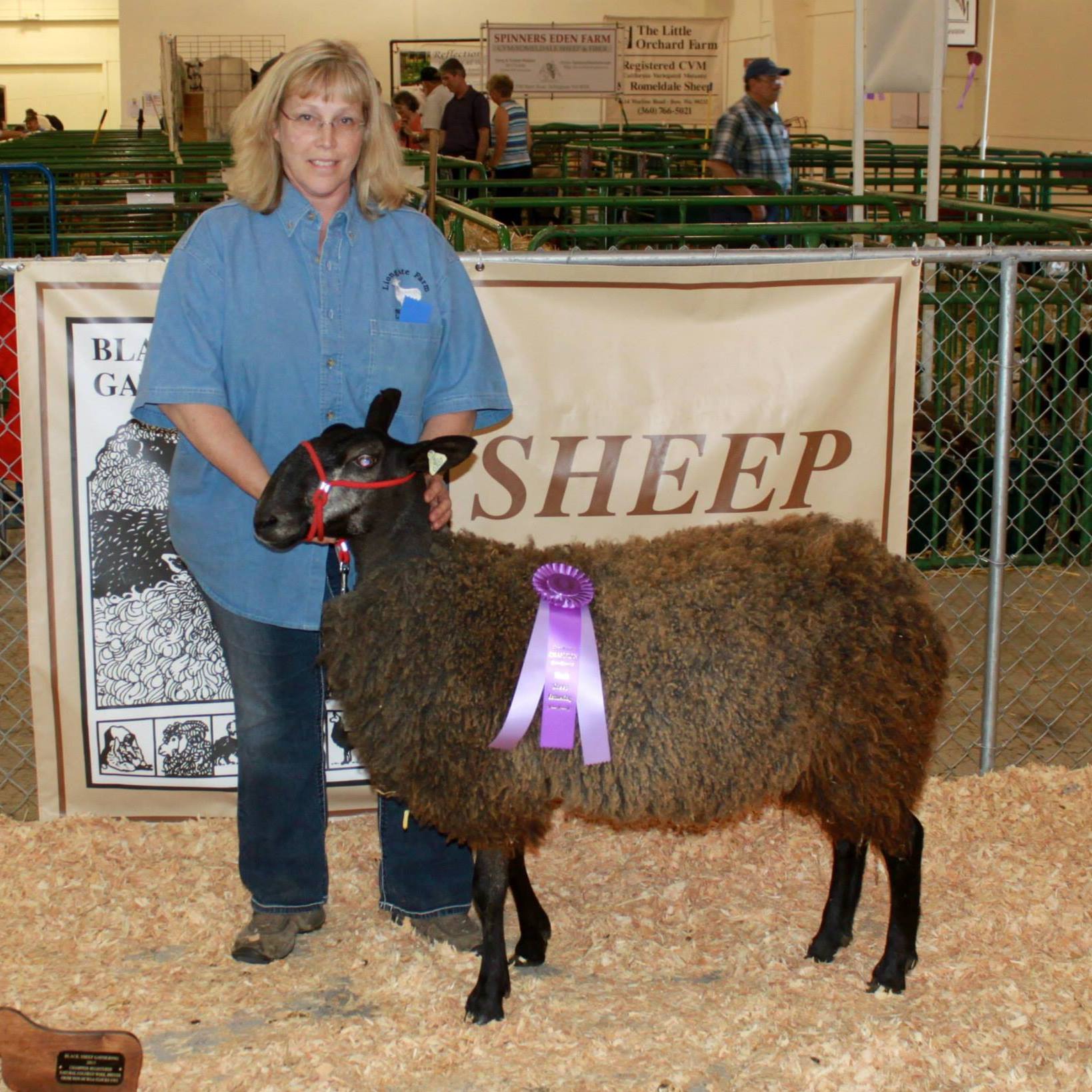 Bluefaced leicester sheep | Liongate Farm | United States