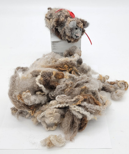 Natural Color Bluefaced Leicester Locks "Violet" | Liongate Farm llc.