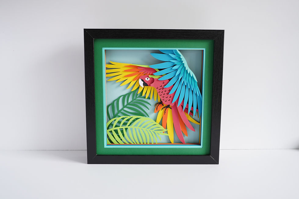 Parrot 3D Shadow Box | Cardann & Co.