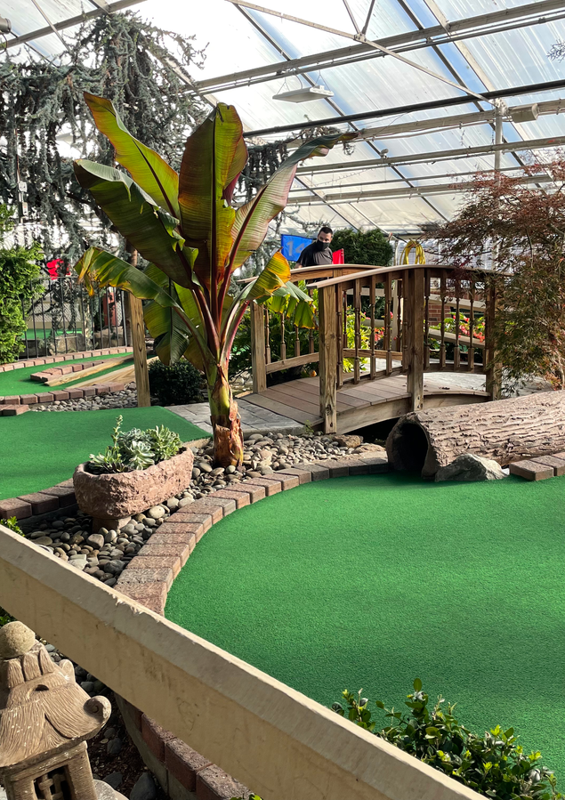 Mini Golf | Family Fun | Date Night | Indoor Event