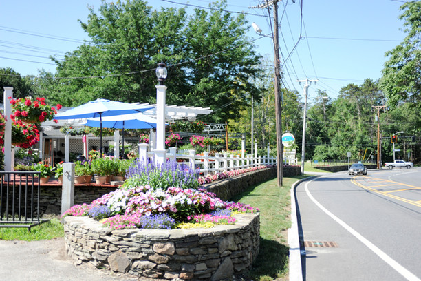 Christmas Tree Farm | Ice Cream | I Golf | Marlborough | Trombetta's Farm