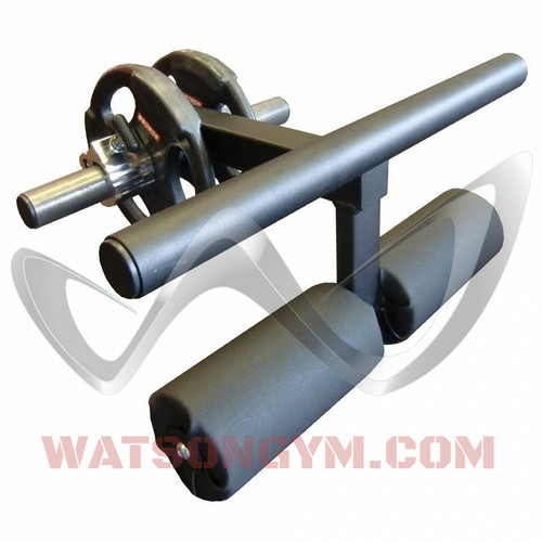 Power Curl Bar | Space X Equipment