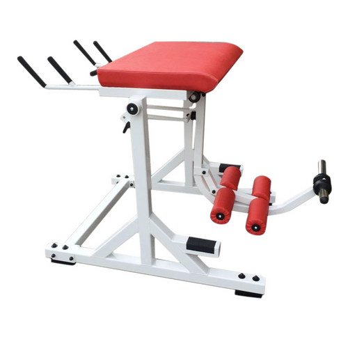 Westside Reverse Hyper with Bent Pendulum | Space X Equipment