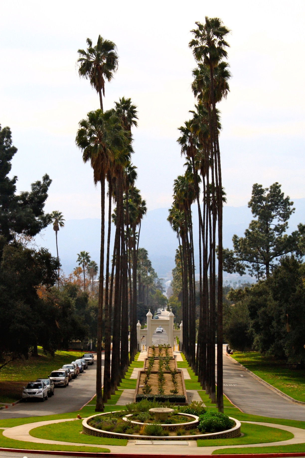 About Brand | Brand Library