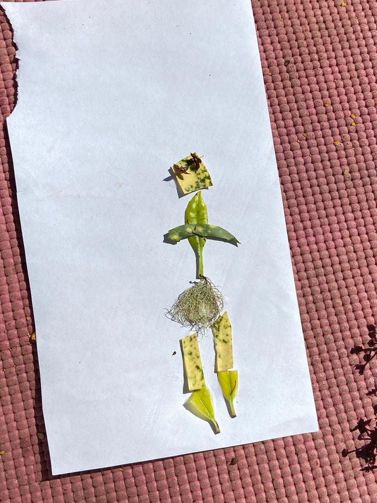 Sustainable Preschool Classroom Art for Earth Day and Beyond