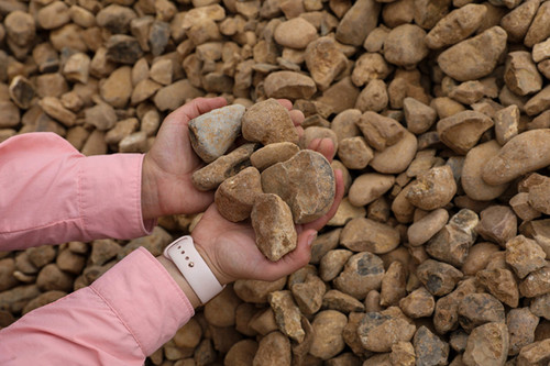 Bull Rock 2" | Sienna Mulch