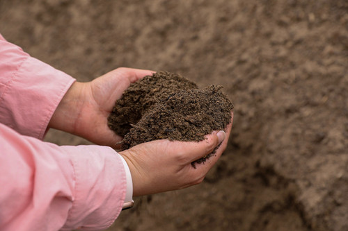 Top Soil | Sienna Mulch
